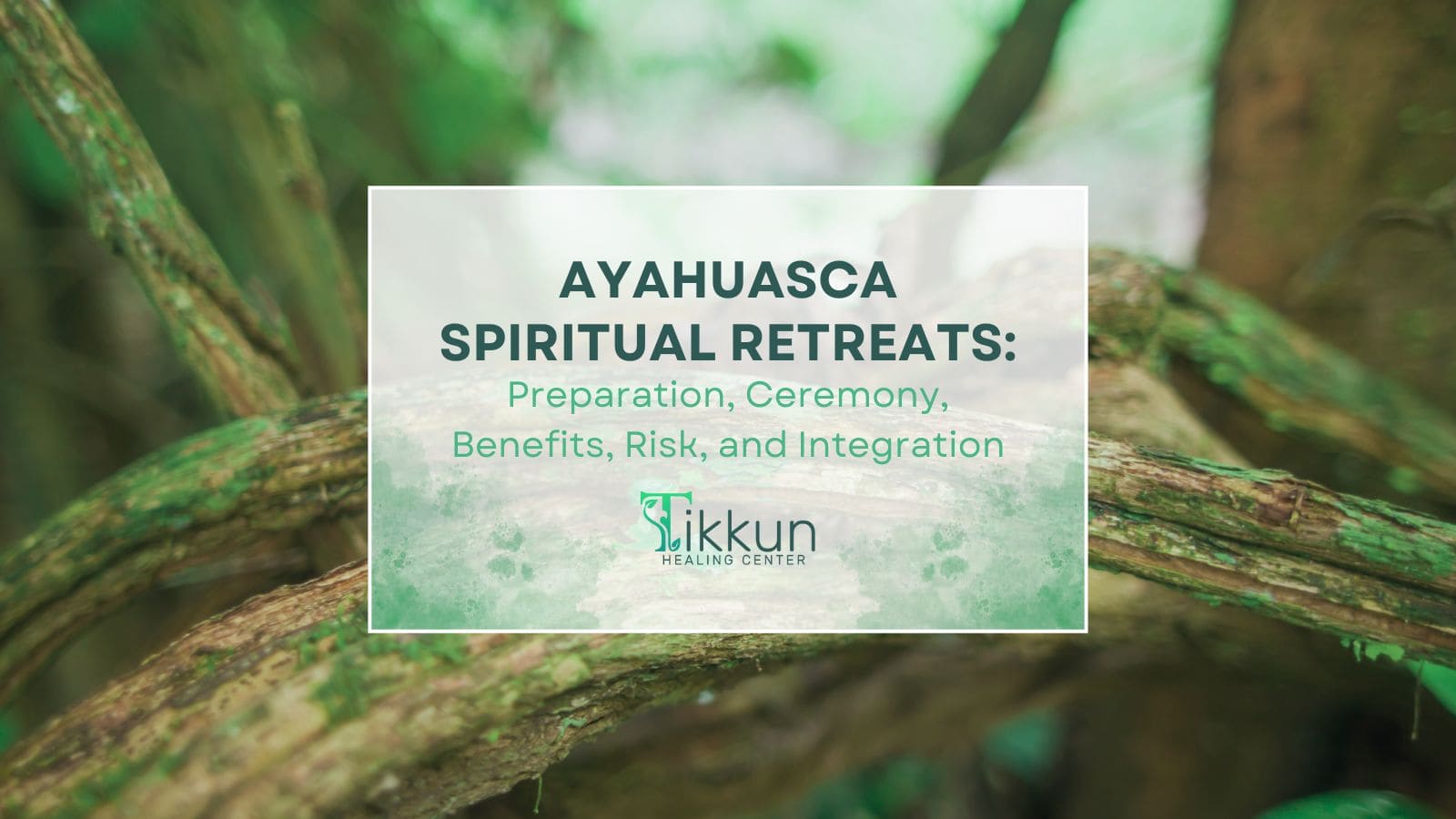 Ayahuasca Spiritual Ceremonies: Prep, Ceremony, Benefits & Risks