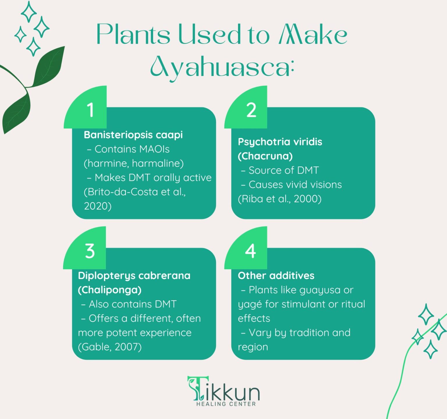 How to make Ayahuasca? - Tikkun Healing Center